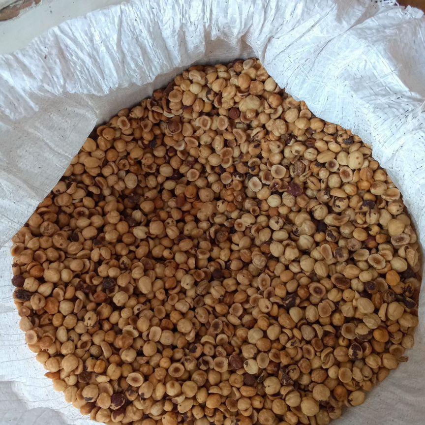 Орехи для животных