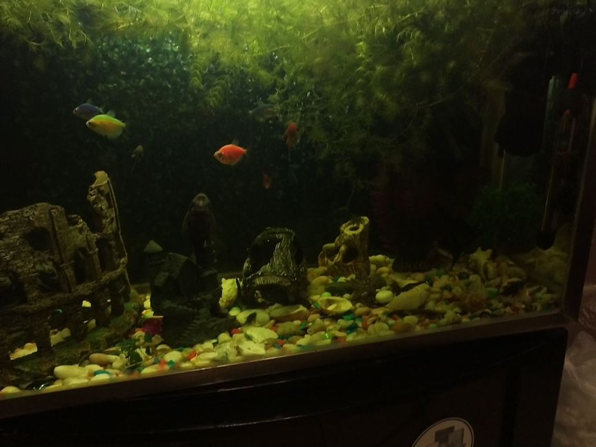 Украшения для аквариума