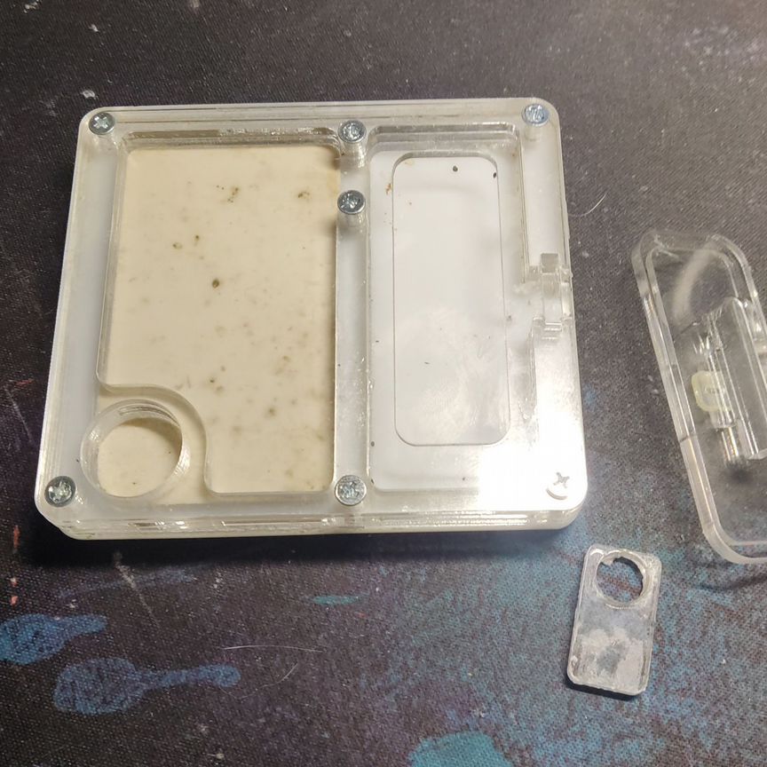 Инкубатор для муравьев