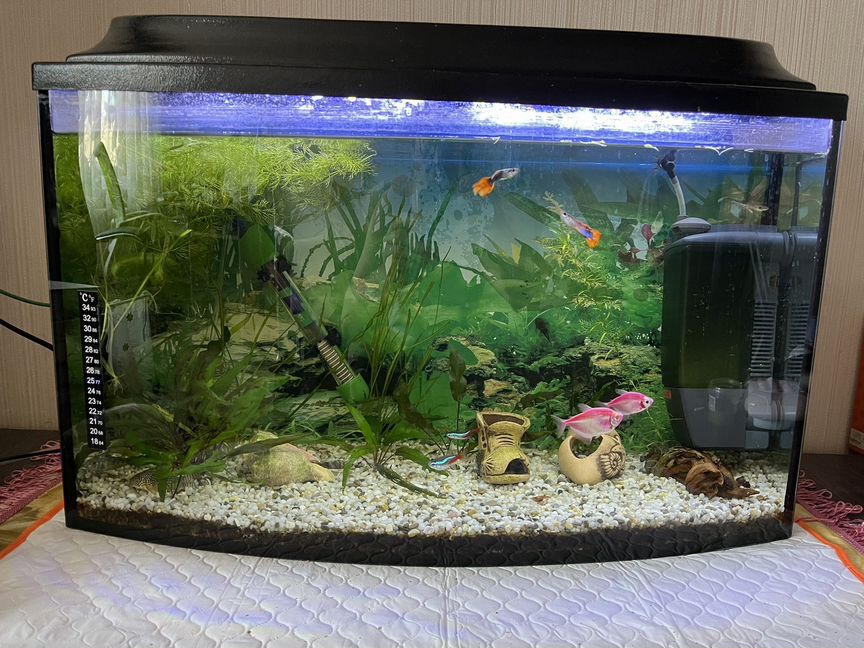 Аквариум с рыбками бу
