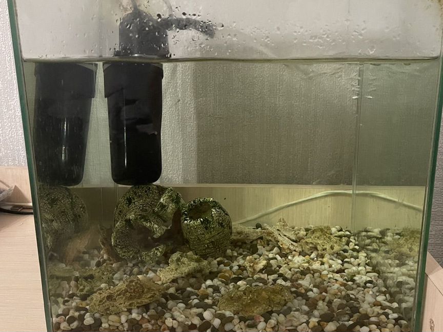 Аквариум