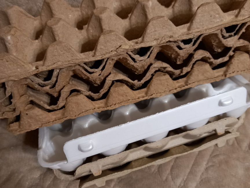 Контейнер для яиц