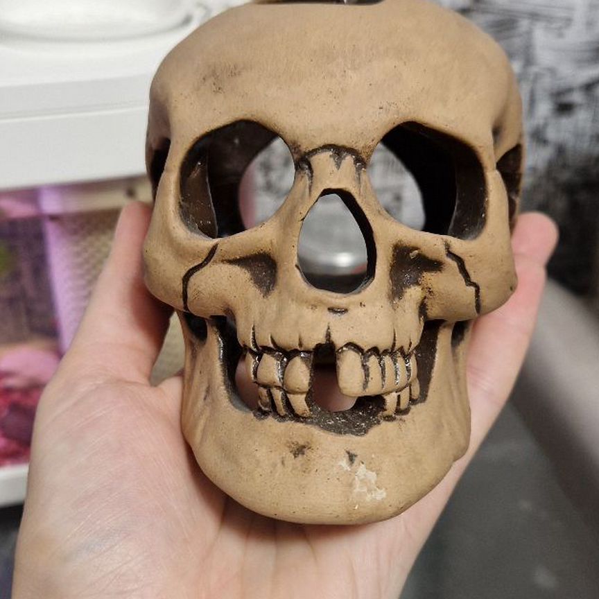 Череп в аквариум