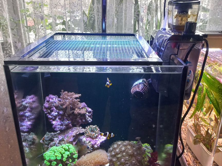 Морской аквариум 70л