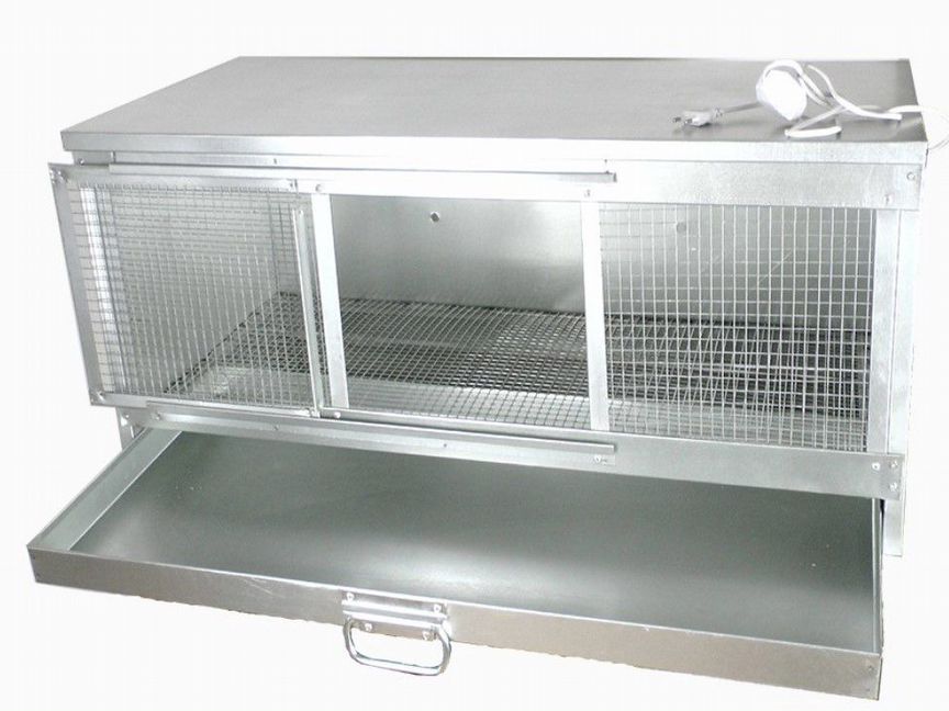 Брудер для цыплят "Стандарт" (поддон,шнур,дверца)