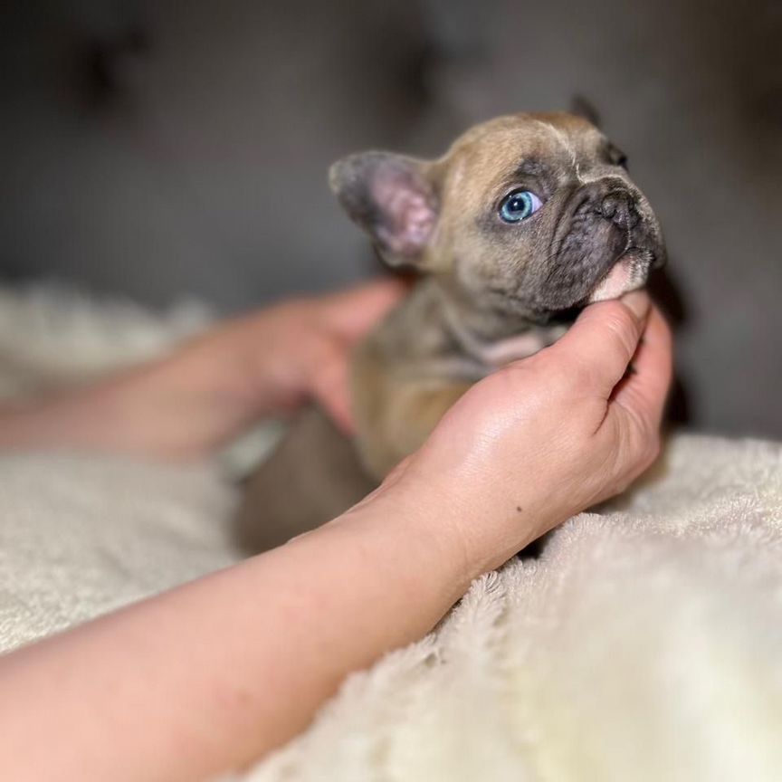 Манечка и Марфа ждут своих родителей