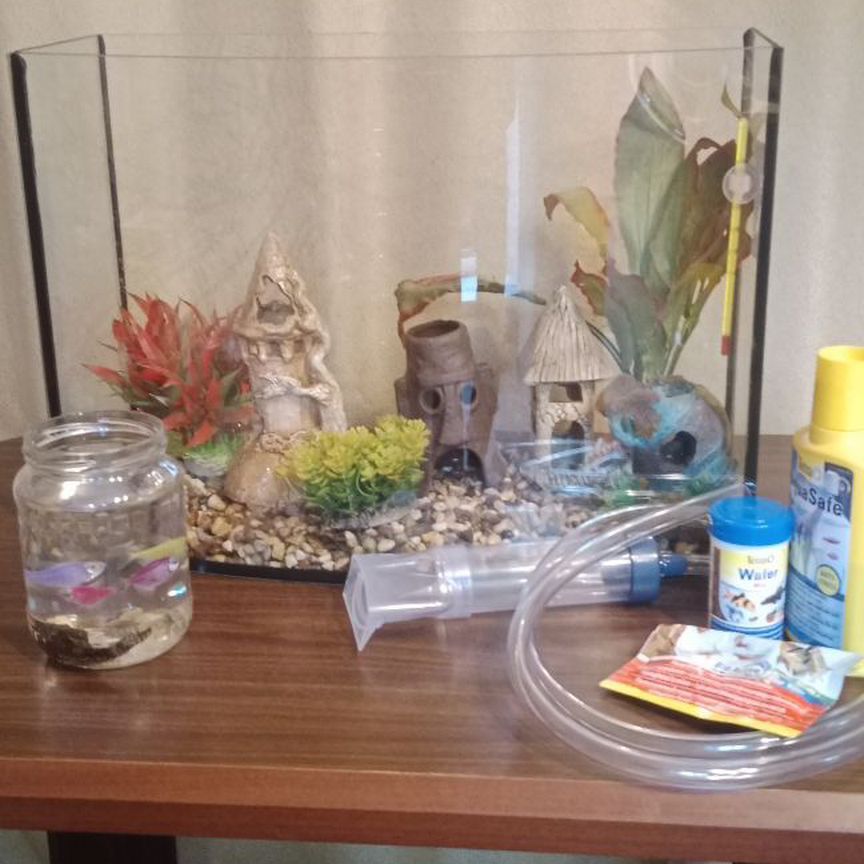 Аквариум с рыбками бу 30 л