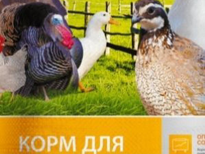 Комбикорм Пурина Purina Бройлера Несушки Цыплят