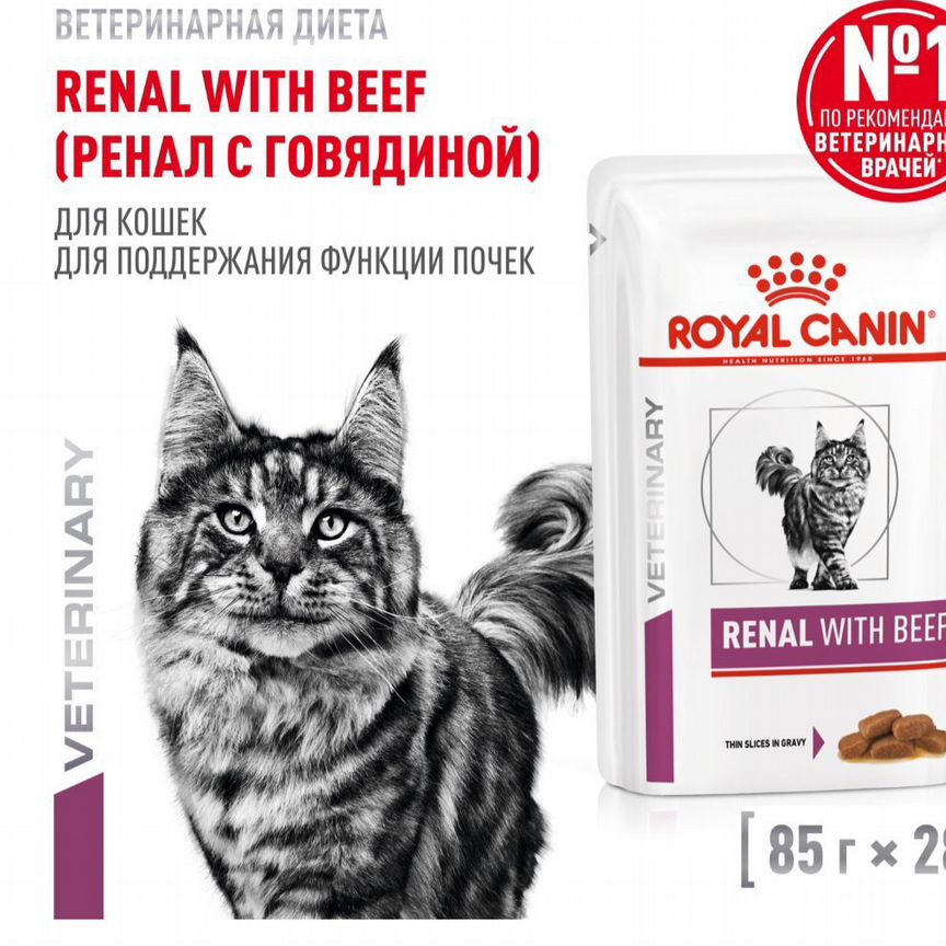 Корм для кошек royal canin renal