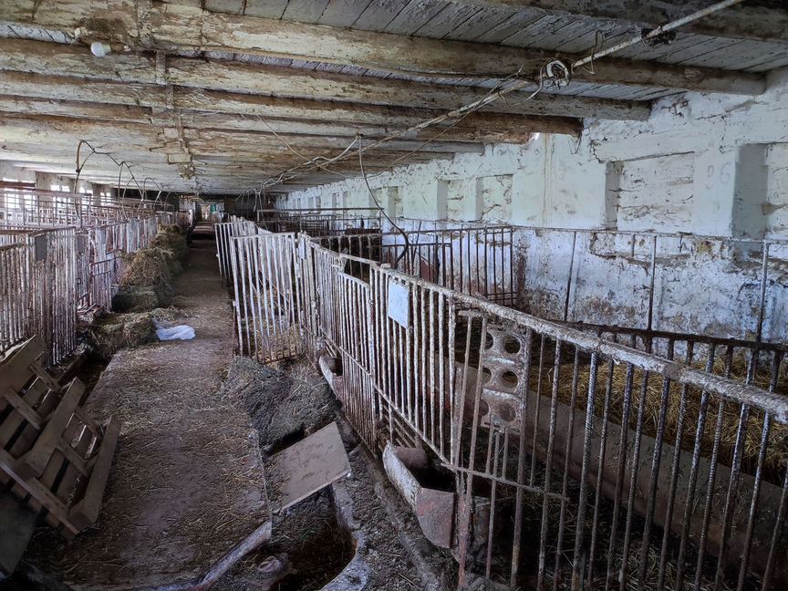 Клетка, ограничения для животных