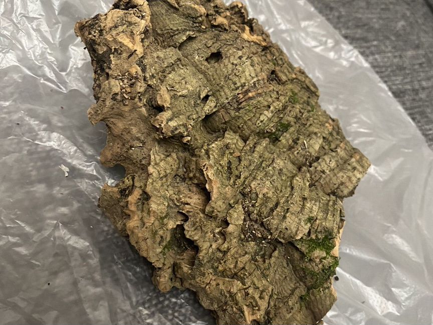 Кусок коры для террариума