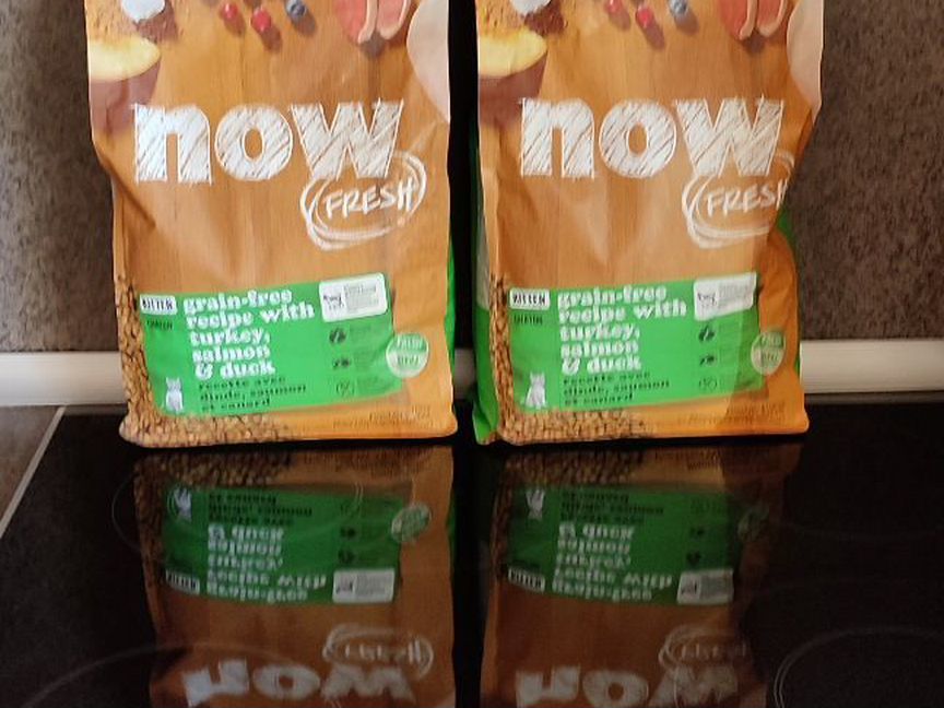 NOW fresh для котят