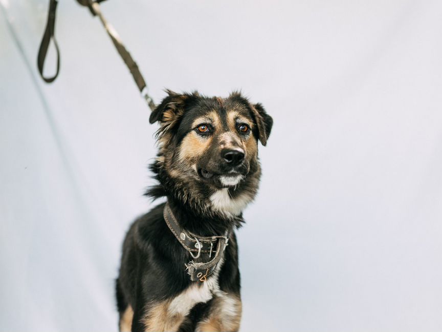 Сью - милашка