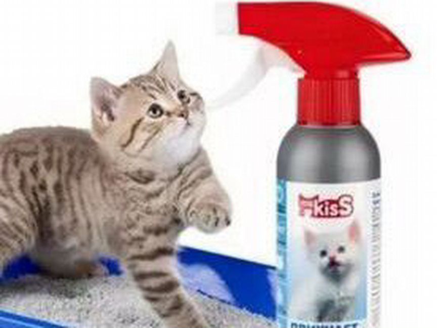 Ms kiss корректор поведения для кошек