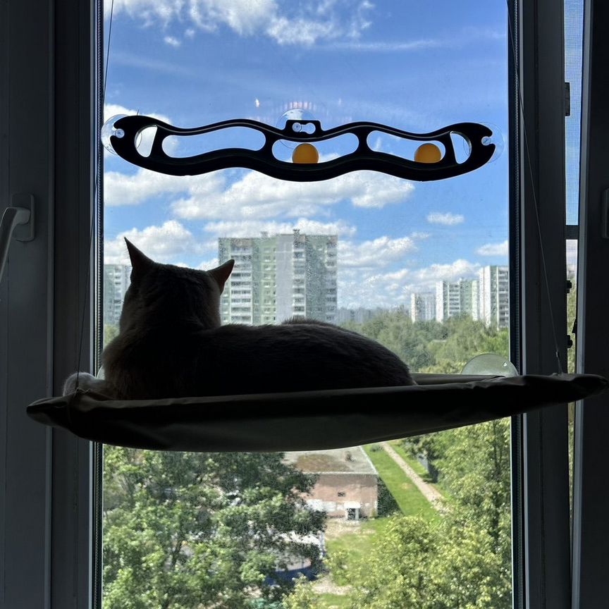 Гамак для котика на присосках, новый