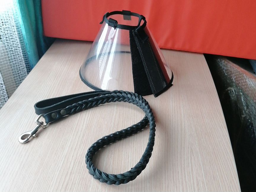 Набор для собаки