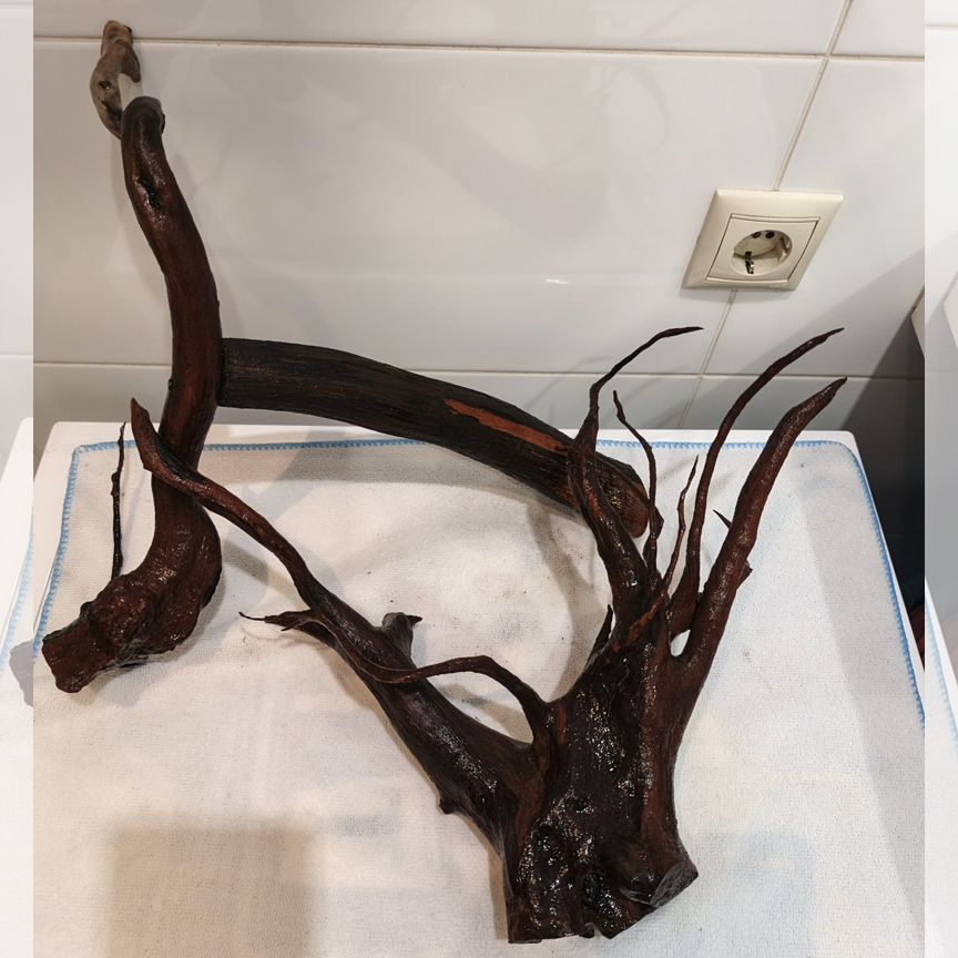 Коряги Гуппи эндлера