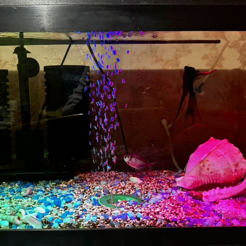 Аквариум с рыбками