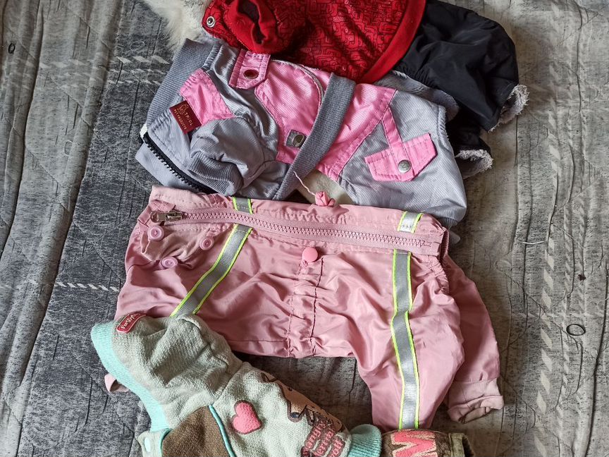 Одежда на маленькую собачку