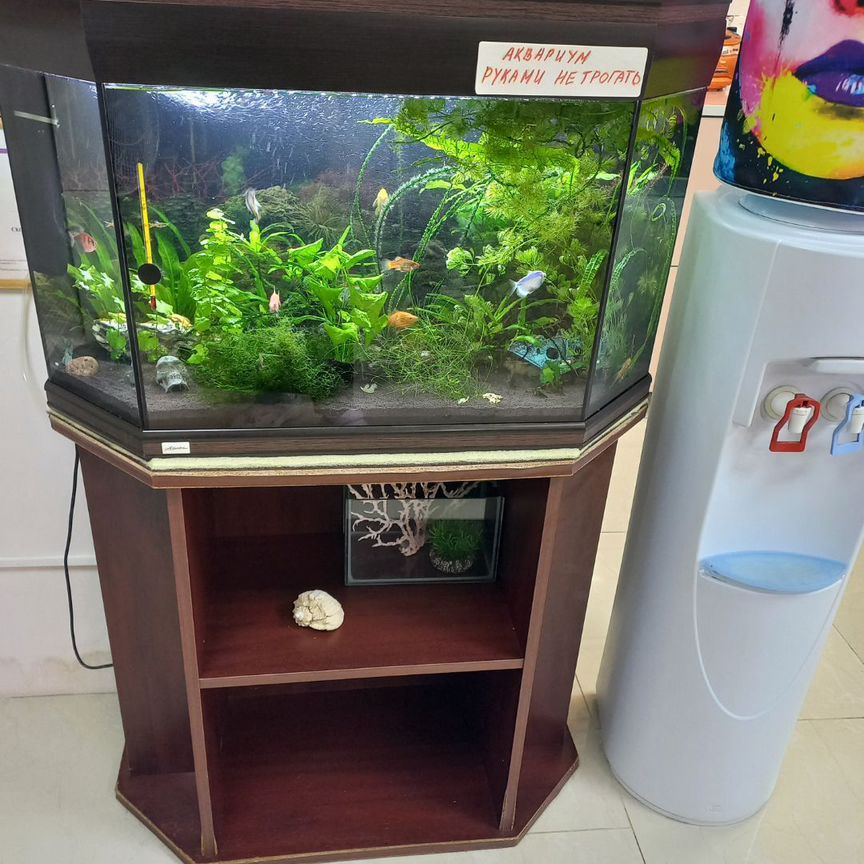 Аквариум с тумбой