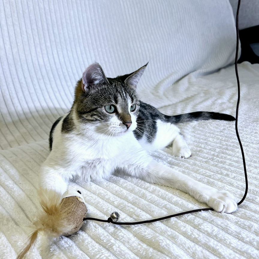 Кто со мной играть