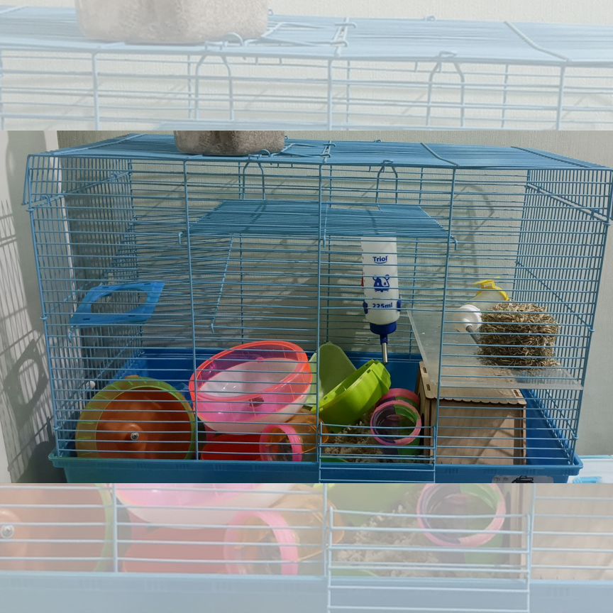 Клетка для хомяка грызунов