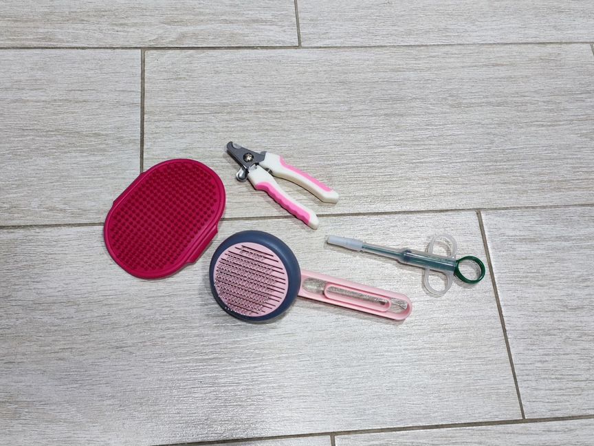 Аксессуары для кошек