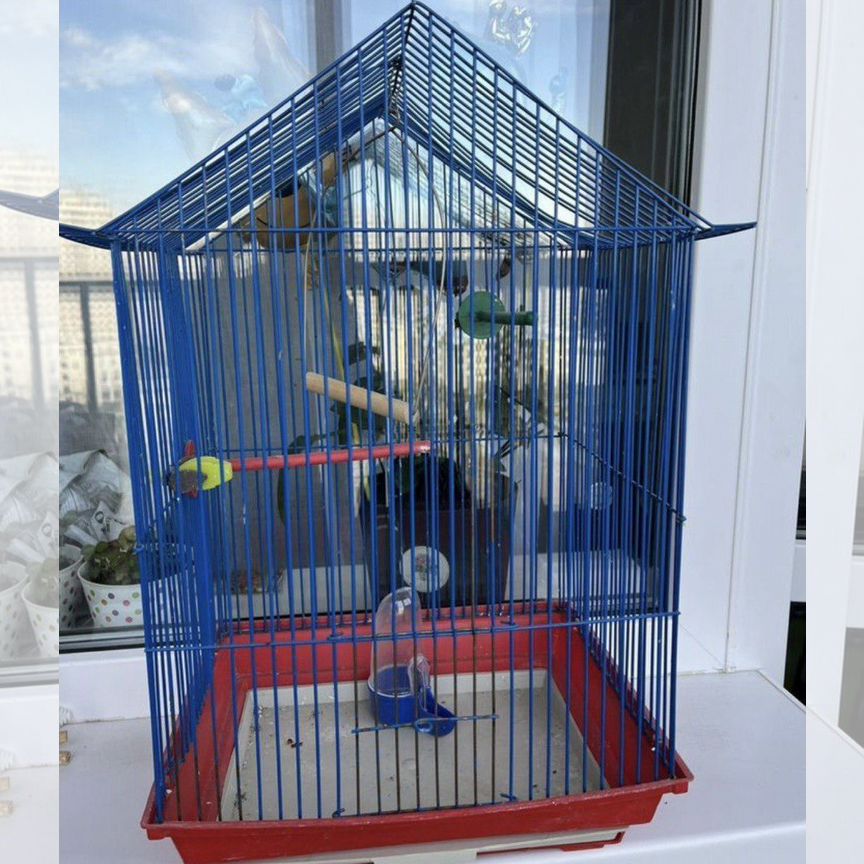 Клетка для попугая бу