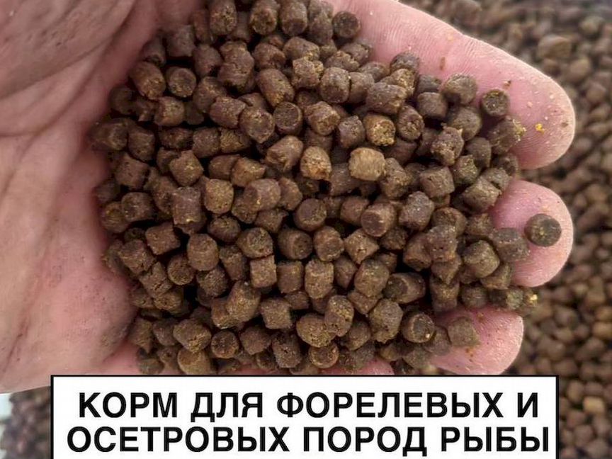 Корм для рыб от производителя