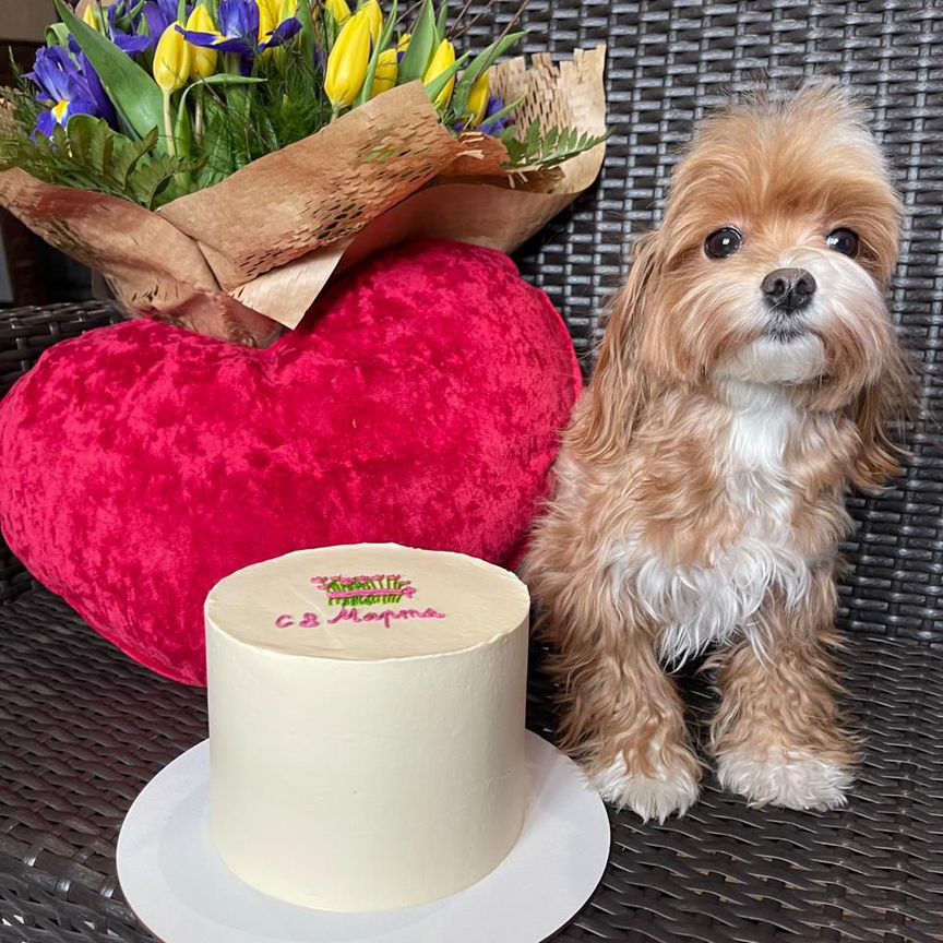 Сладкие мальтипушки