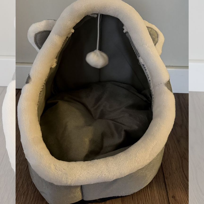 Лежанка для котят