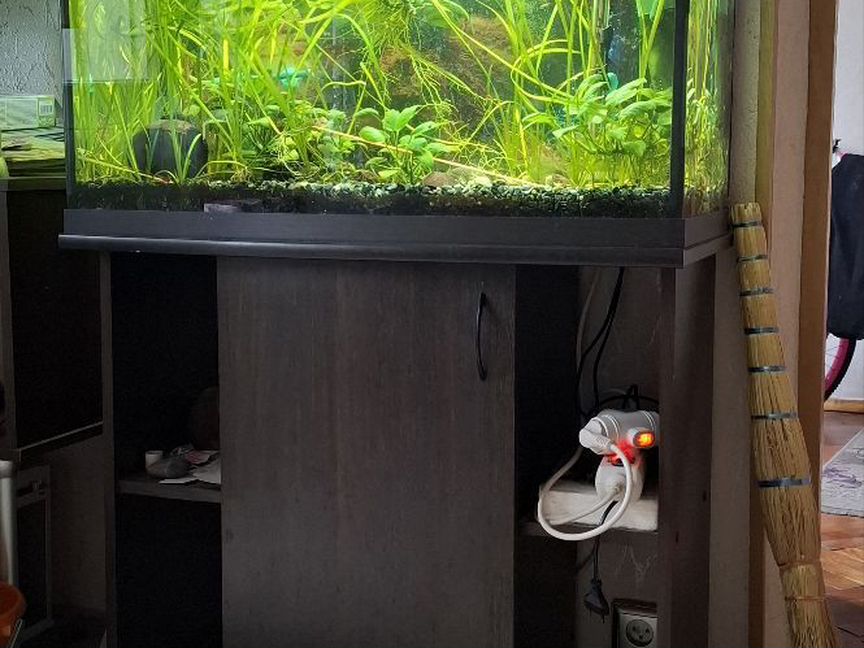 Аквариум с тумбой и рыбками