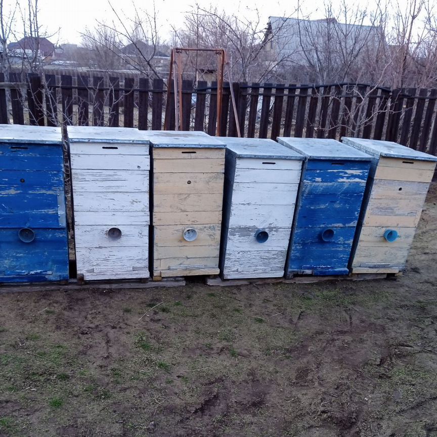 Ульи для пчел дадан 10 рамочные двух корпусные