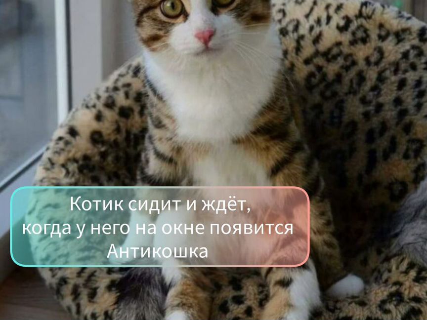 Сетка металлическая Антикошка