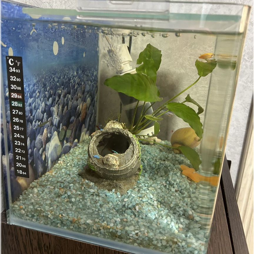 Аквариум с тумбой 27 литров