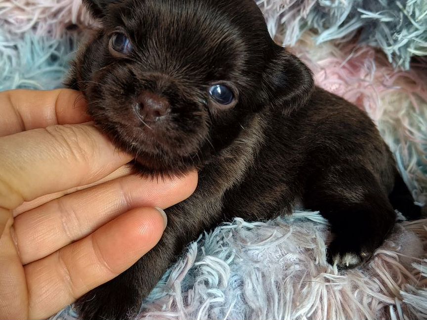 Малышка на миллион