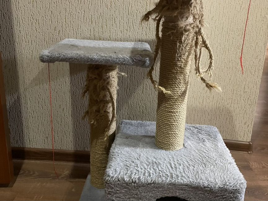 Когтеточка