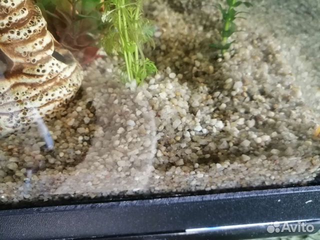Фильтр для аквариума б.у, аквариум