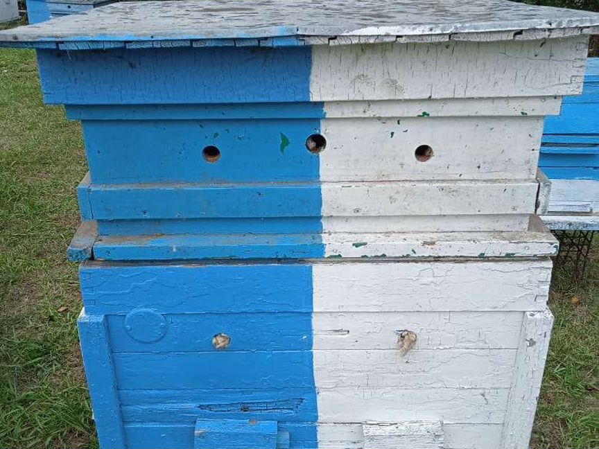 Улей для пчел бу