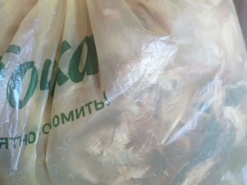 Продам гусиное белое и утиное перо новое