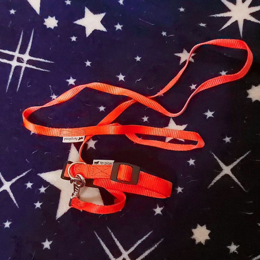 Продается ошейник- мин.окр.шеи 24см.  поводок-1 м