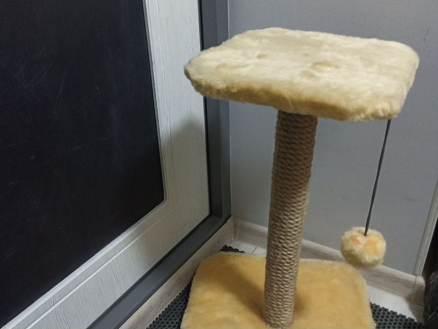 Когтеточка