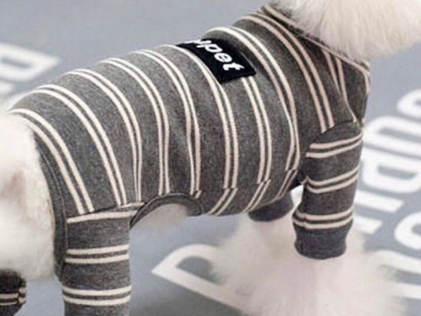 Слинг для собаки