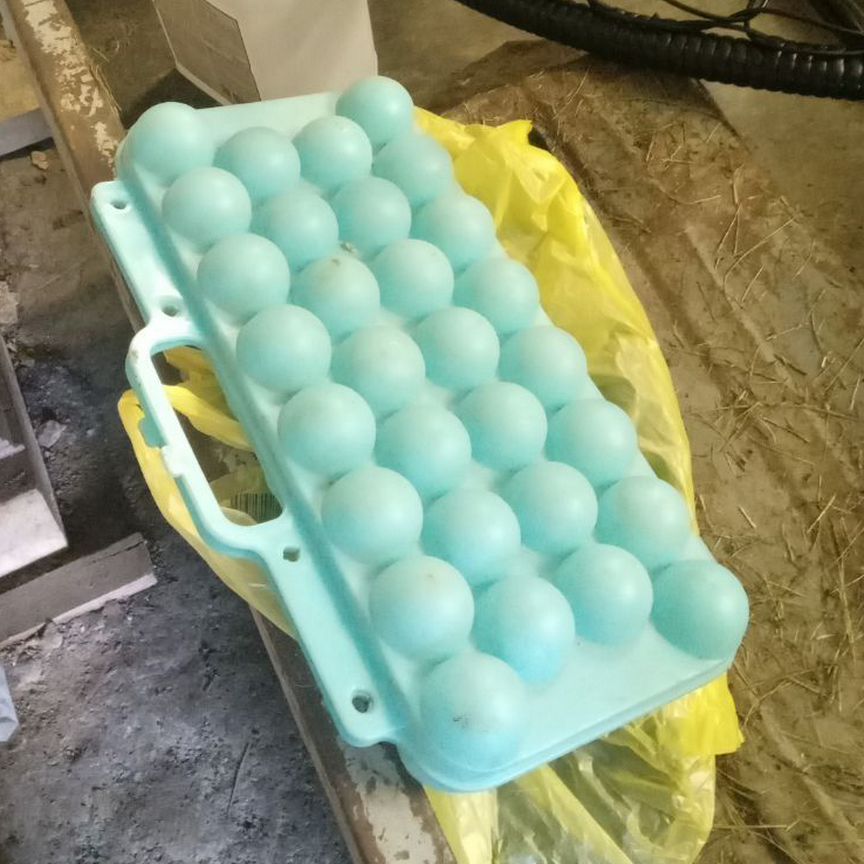 Пластиковая переноска для яиц