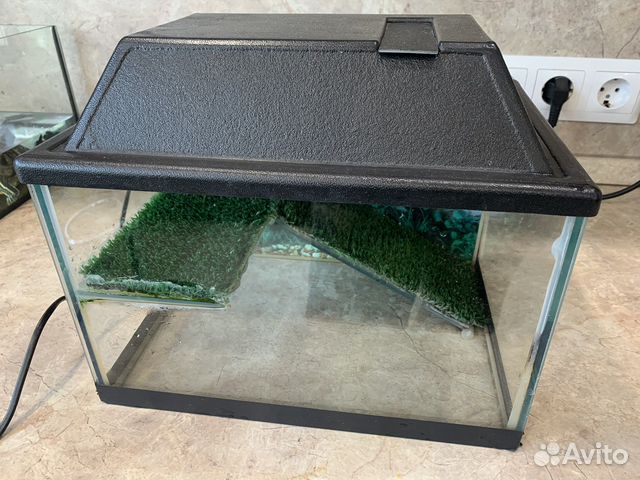 Террариум, аквариум для морской черепашки