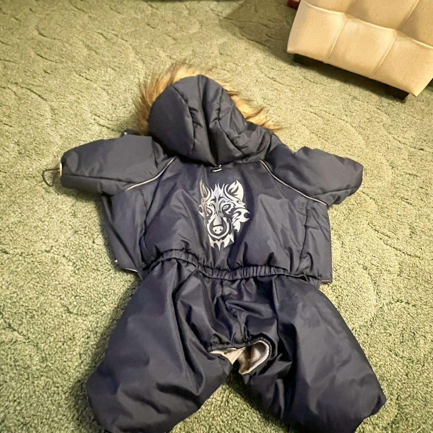 Комбинезон для маленькой собаки