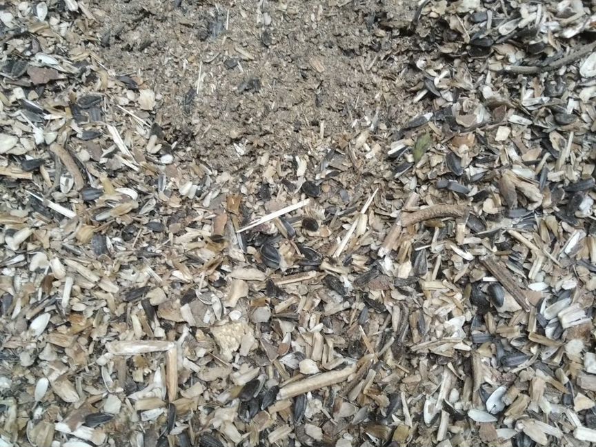 Отходы семечки