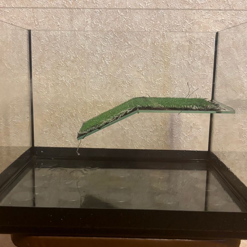 Аквариум для небольшой черепахи