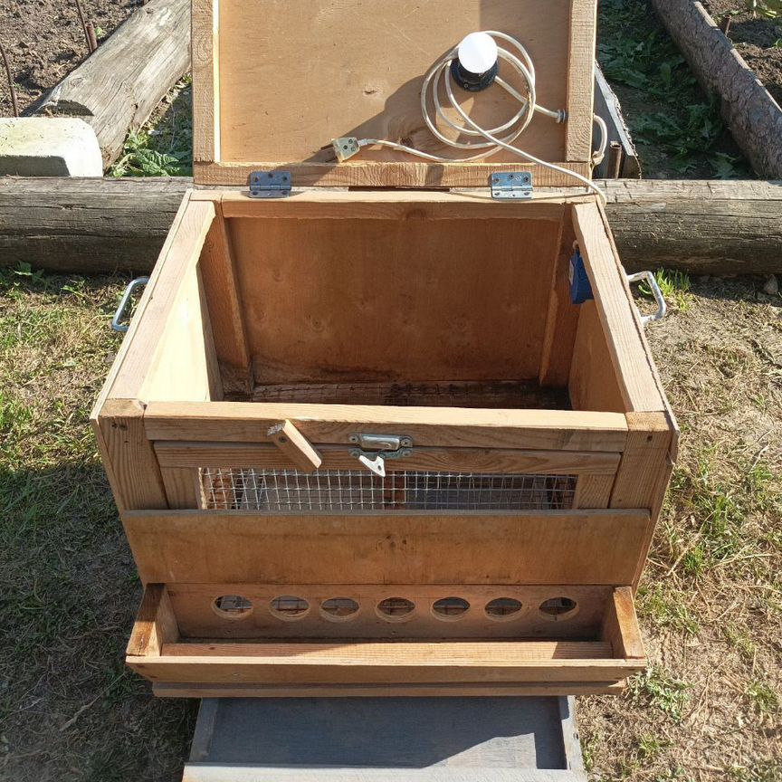 Брудер для цыплят