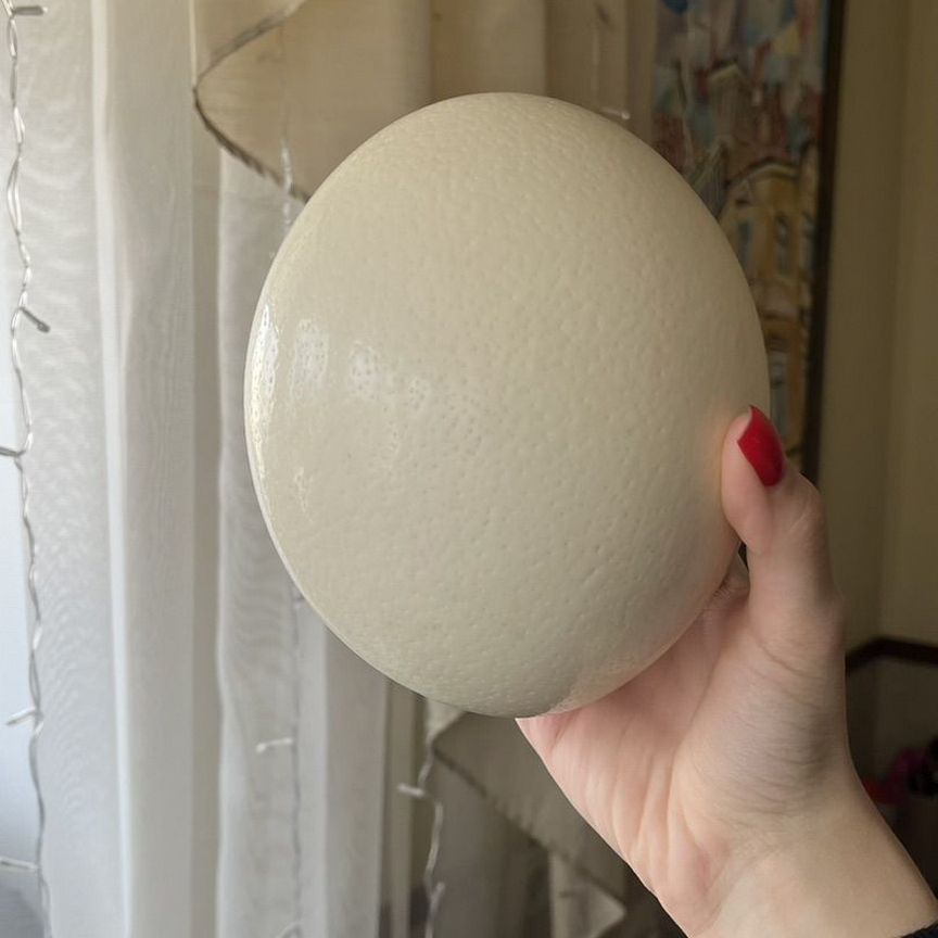 Страусиное яйцо